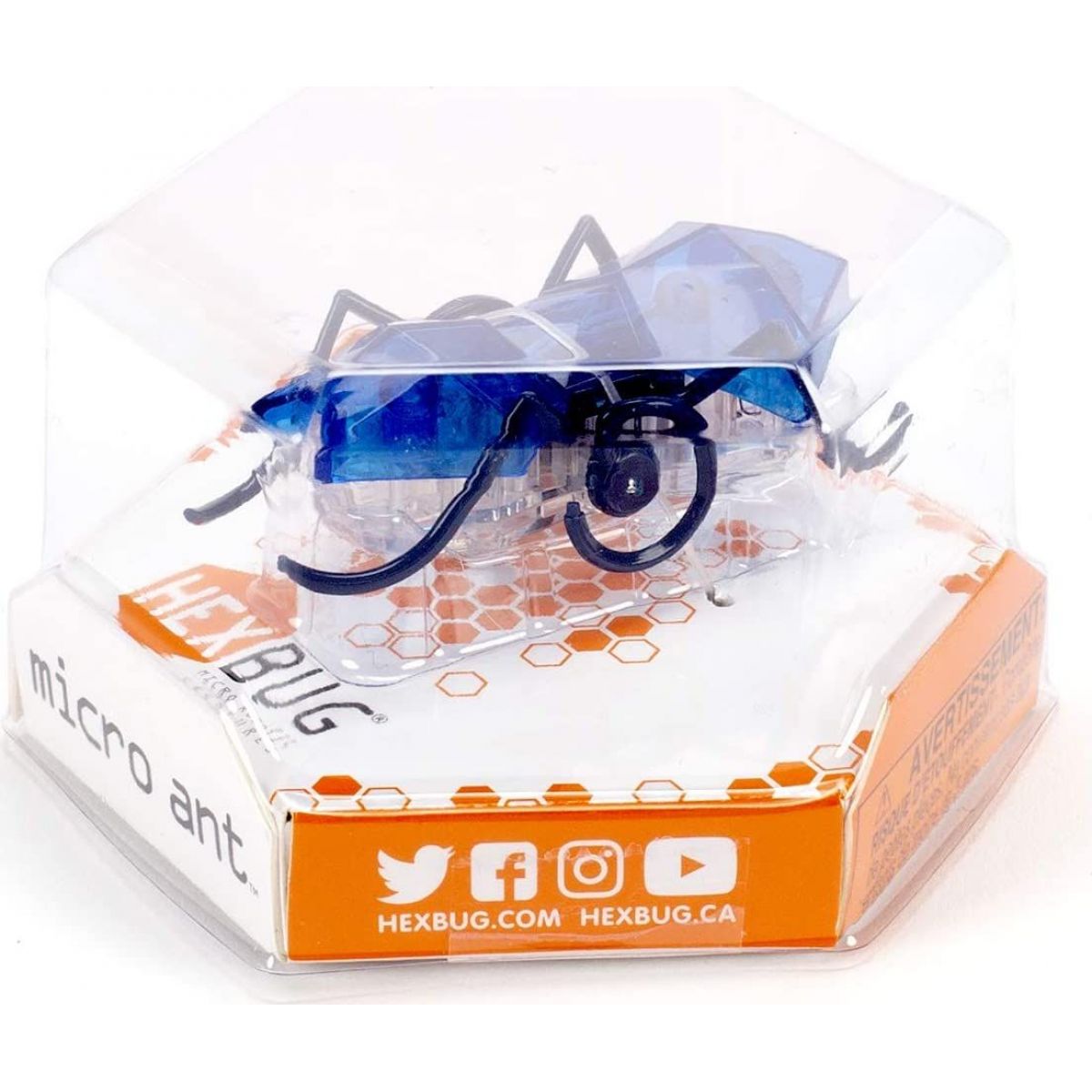 Hexbug Micro Ant modrý | Maxíkovy hračky